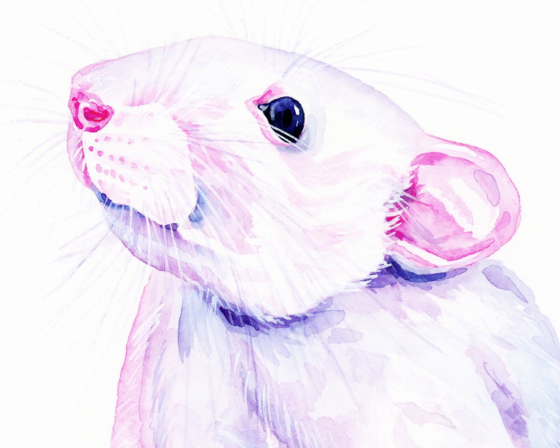 White Rat Art Print Cute Rats Watercolor Rat Painting Pets Fancy Rat ...
