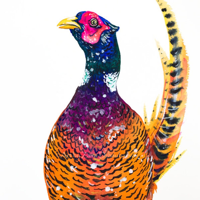 Colorful Pheasant Wall Art Print Wildlife Watercolor Painting Gamebird ...