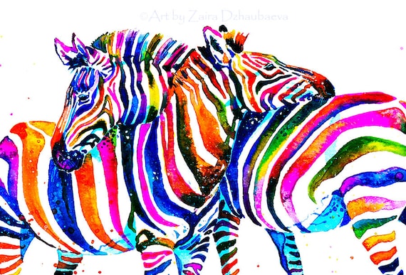 Pictures Of Colorful Zebras