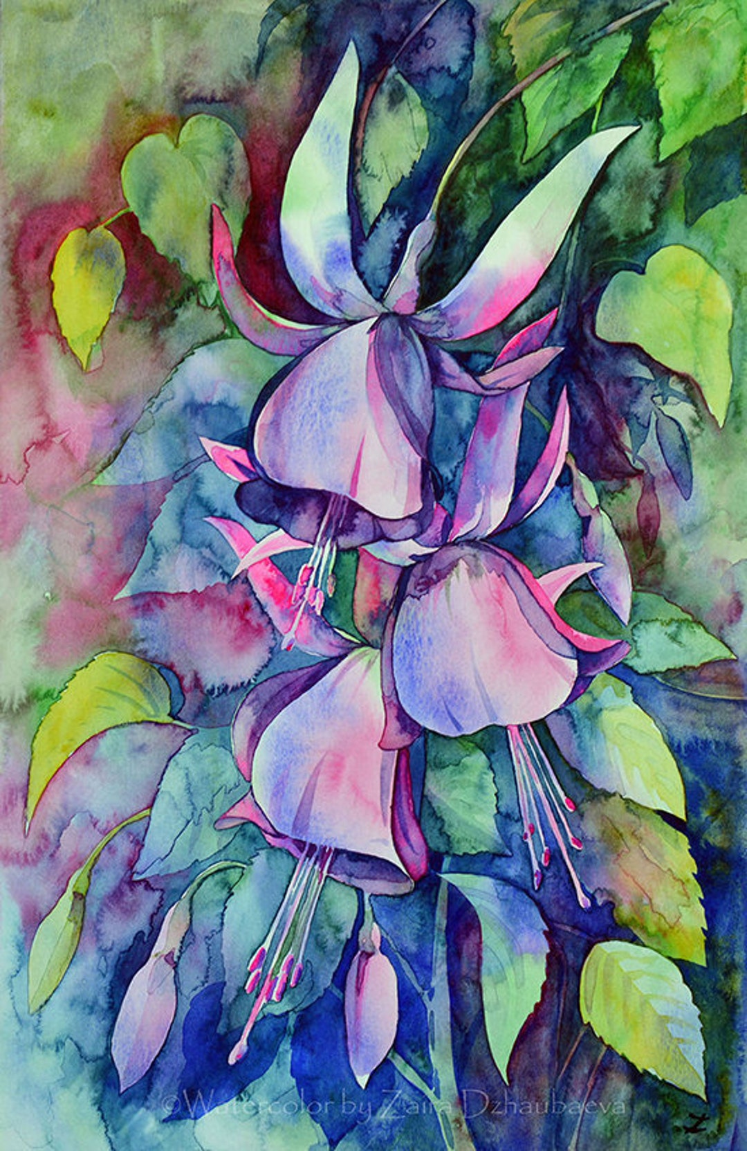 Fuchsia Valse Wall Art Print and Original Watercolor Painting Fuchsia ...