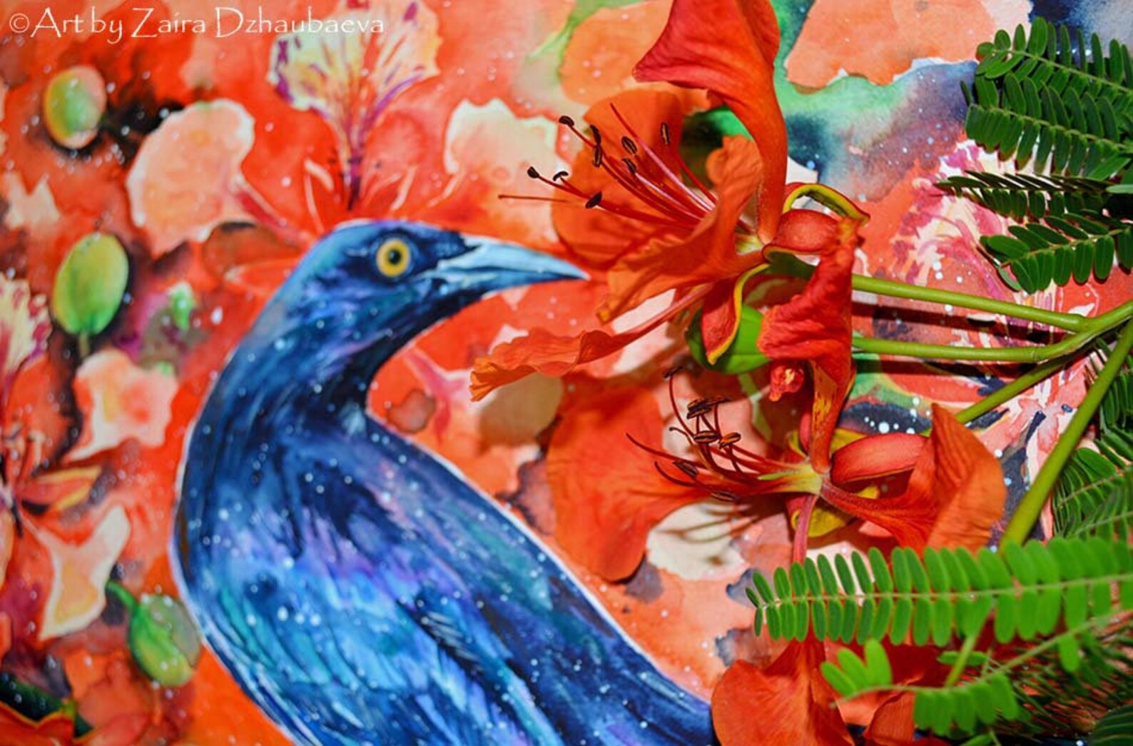 Chango Bird on Flamboyant Tree Art Print Puerto Rico Black - Etsy