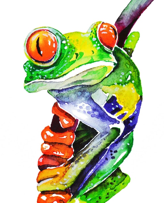 Colorful Frog Painting