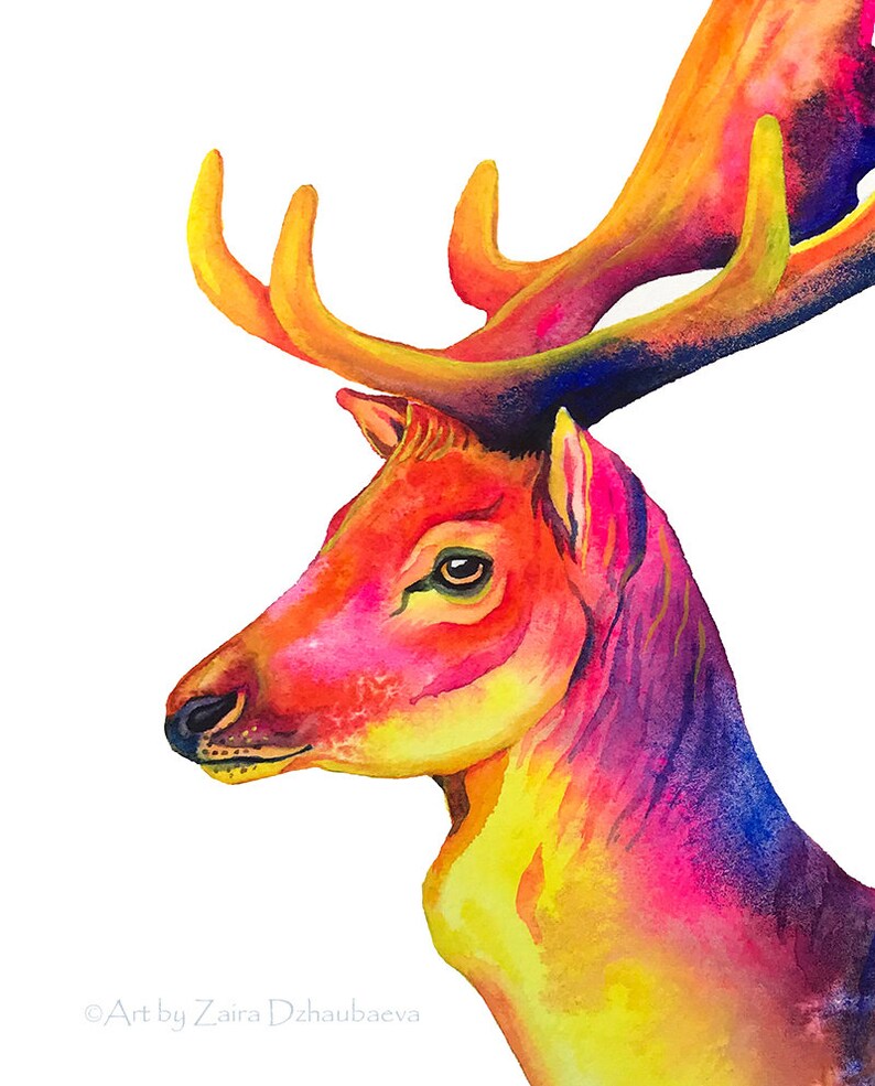 Fallow Deer Wall Art Print Stag Watercolor Painting Colorful Deer Buck ...