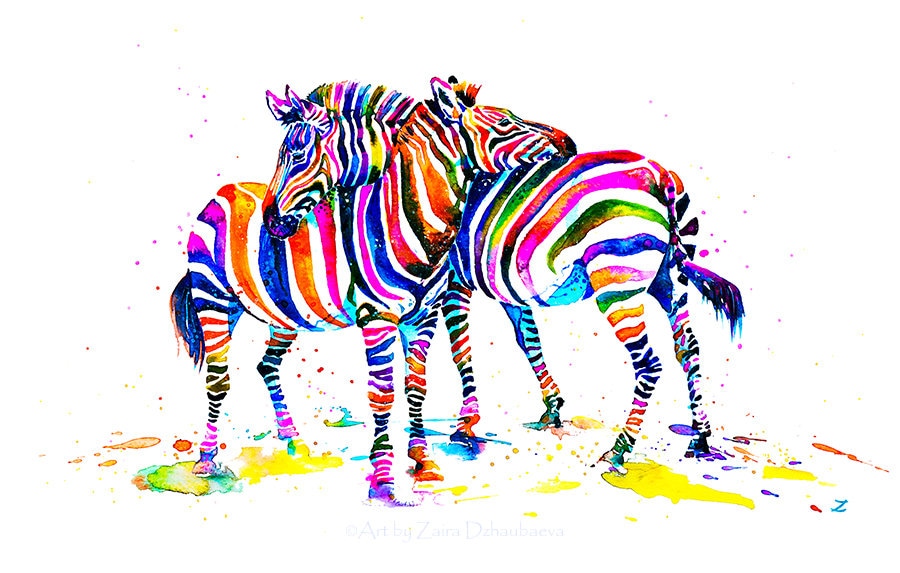 Colorful Zebra Prints