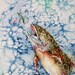 Brown Trout Hunting for Dragonfly Art Print Jumping Fish River Splash ...