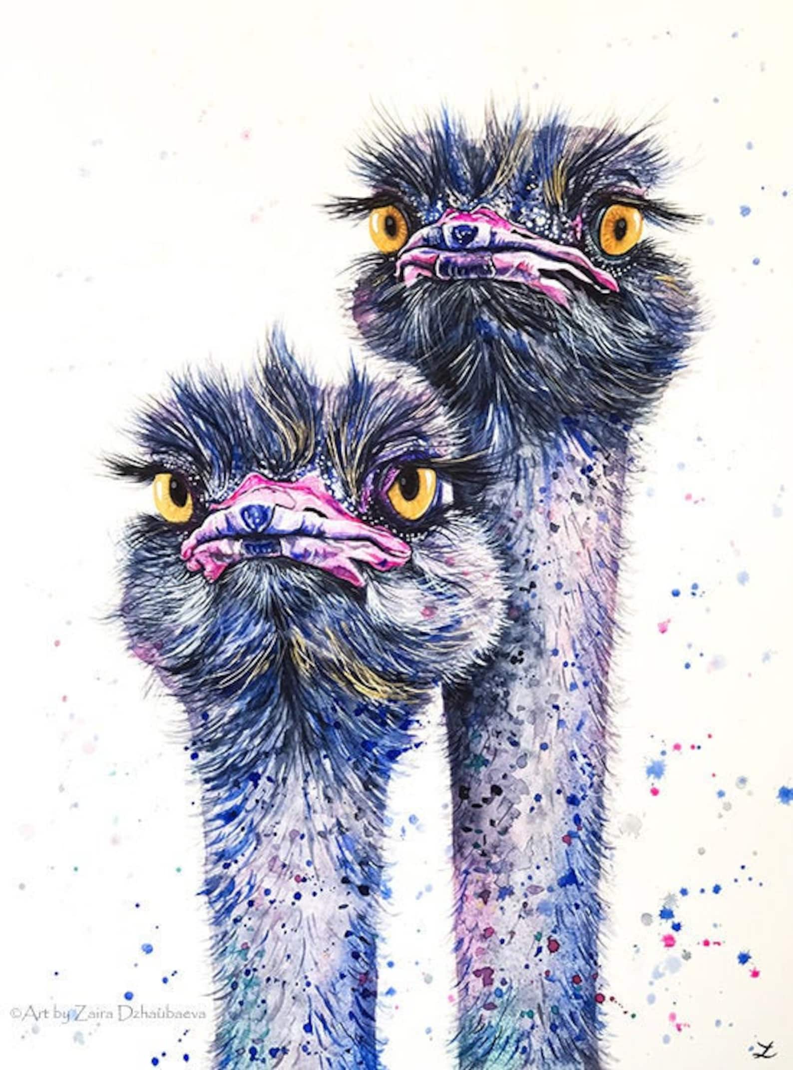 Ostriches Art Print Ostrich Watercolor Painting Wildlife Funny Birds ...