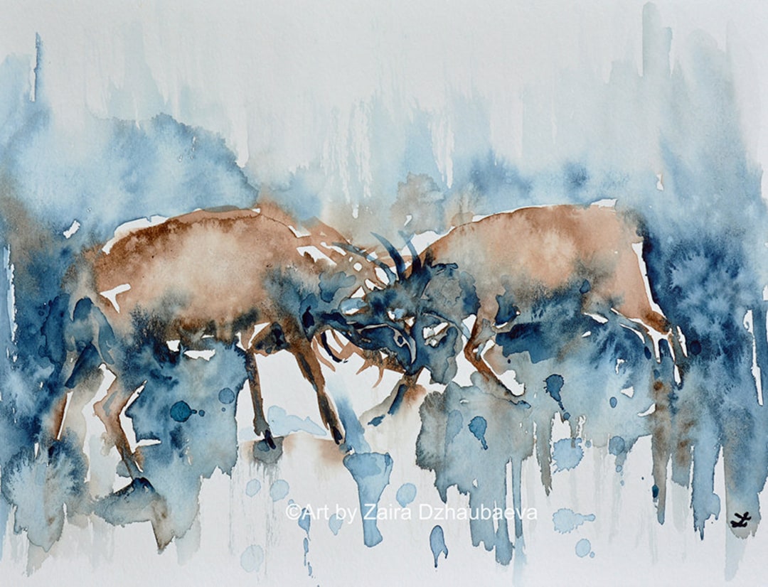 Fighting Stags 11 X 8.5" Print - Watercolor Deer Buck Stag Antlers ...