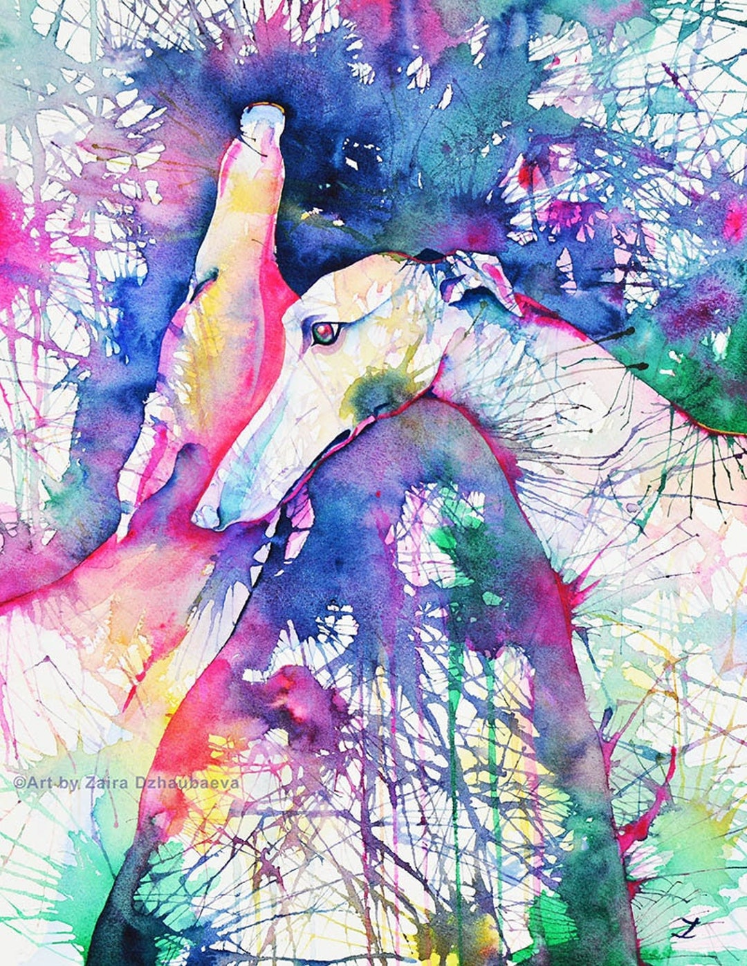 Colorful Greyhounds 8.5 X 11" Wall Art Print Greyhound Dog Sighthound ...