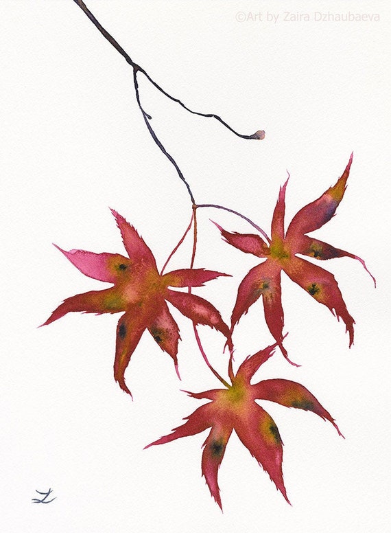 Japanese Maple Leaves Drawing