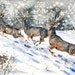 Mule Deer on the Run Original Watercolor Painting Running Deer - Etsy
