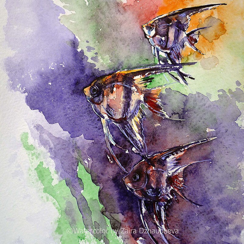 Angelfish Painting - Etsy