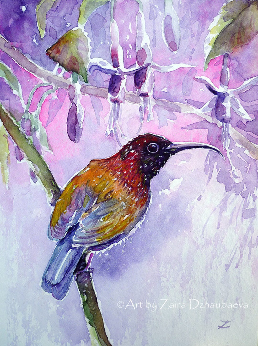 Flaming Sunbird Art Print Philippines Wildlife Birds Exotic Bird Wall ...