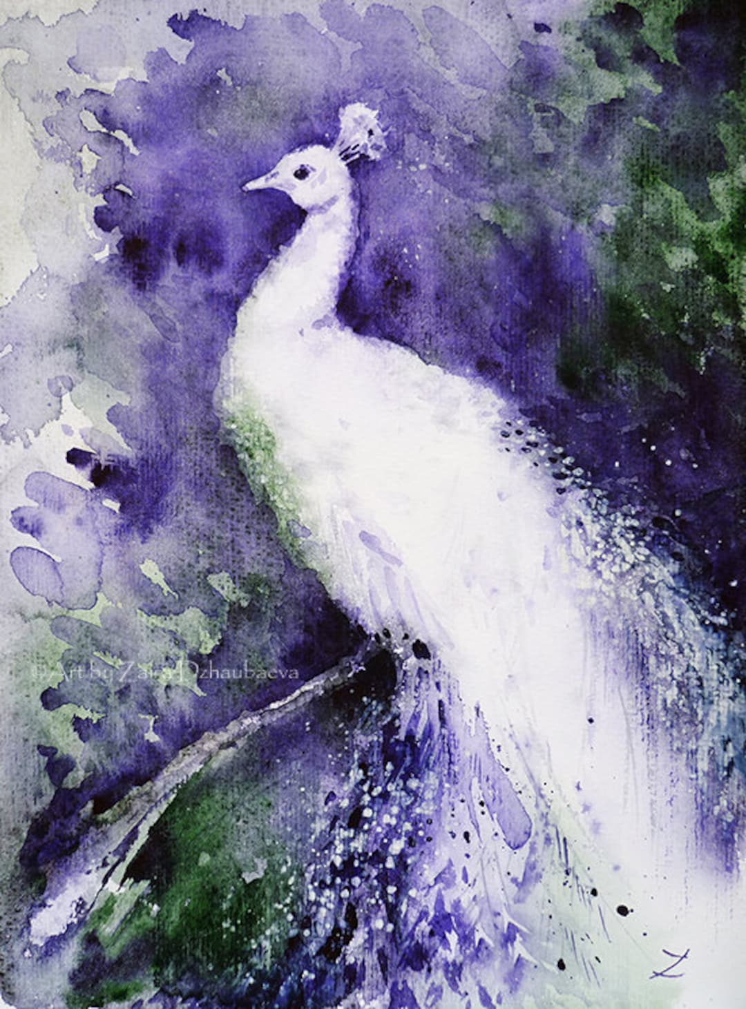 White Peacock Art Print White Peafowl Rare Birds Watercolor Painting ...