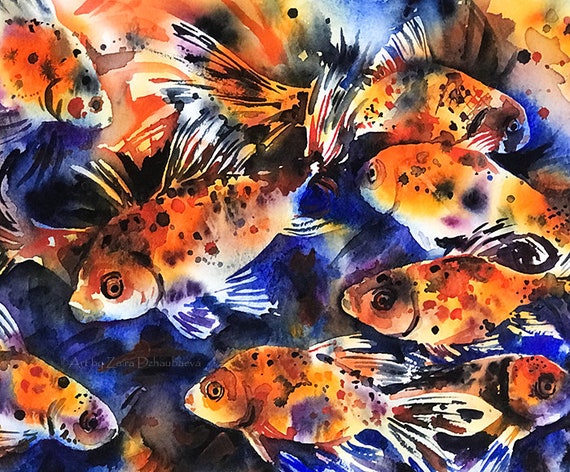 Calico Shubunkin Goldfish