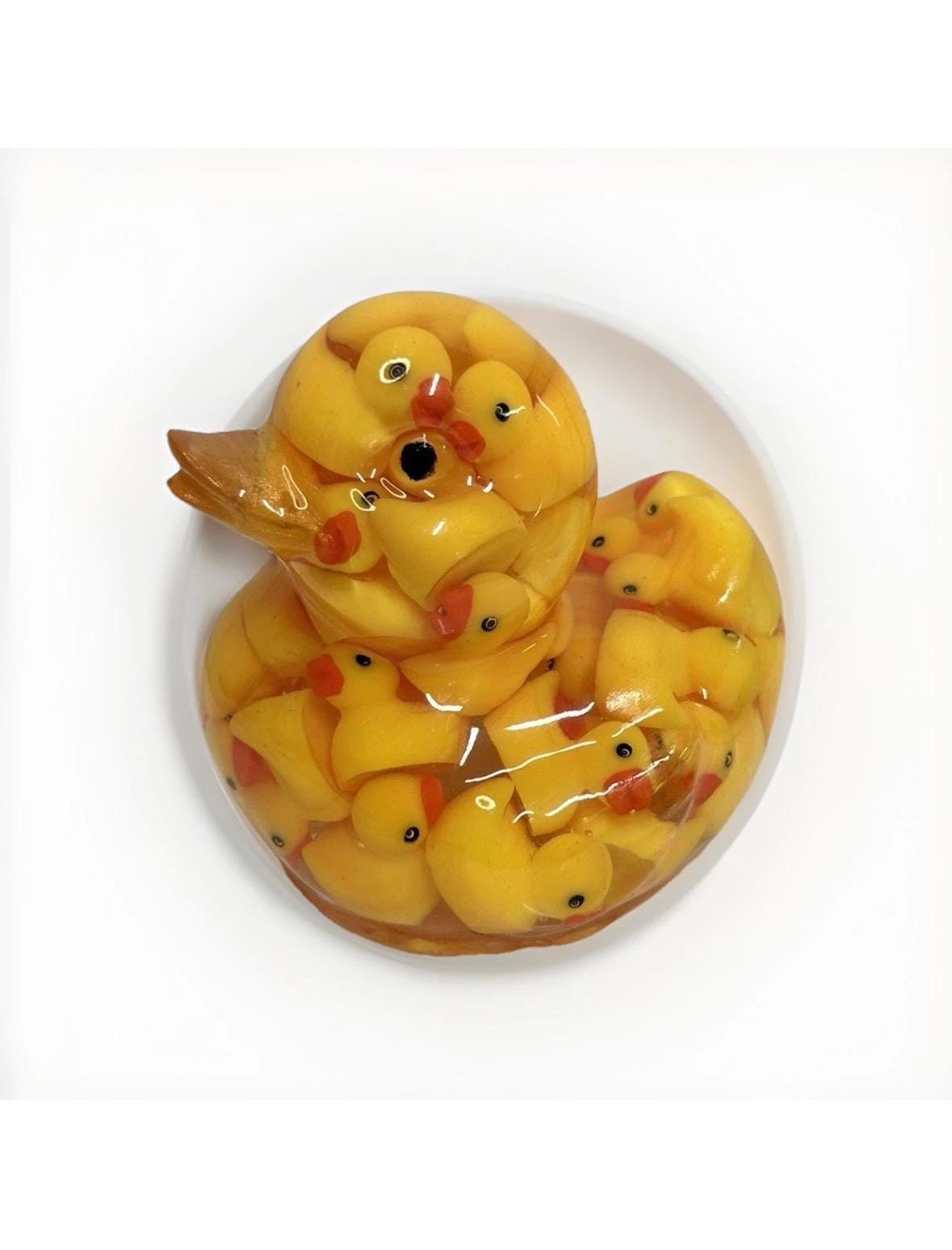 Multi Colored Duck, Multi Colored, Ducks in Duck, Rainbow Duck, Glow ...