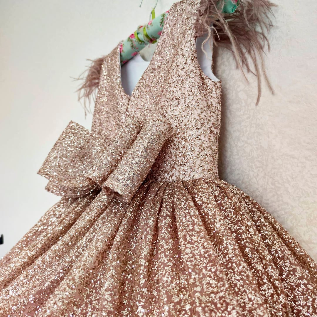 Glitter Dress for Kids Blush Dress Flower Girl Dress Baby First ...