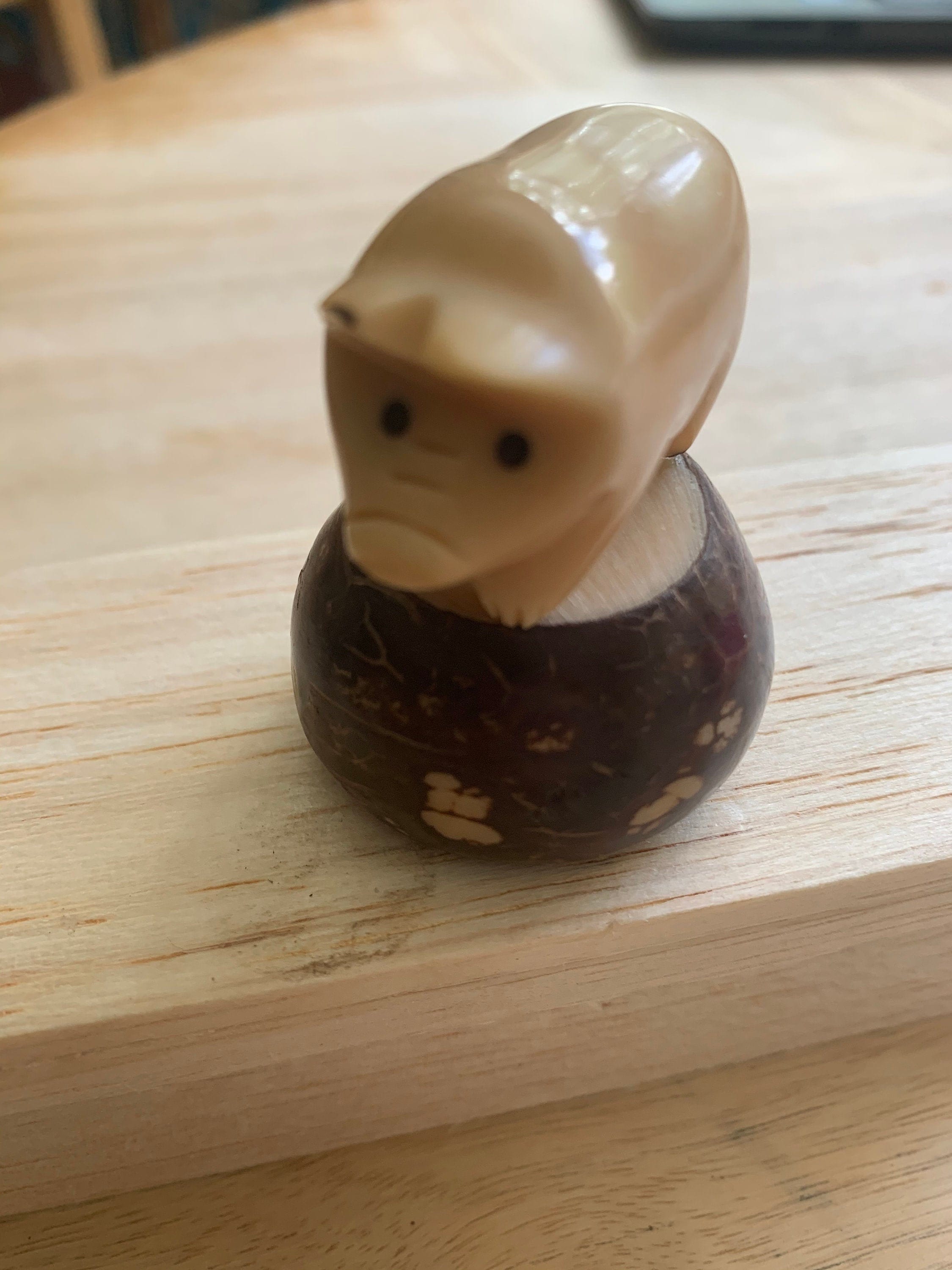 Escultura de nuez de tagua de cerdo marfil vegetal Ecuador | Etsy