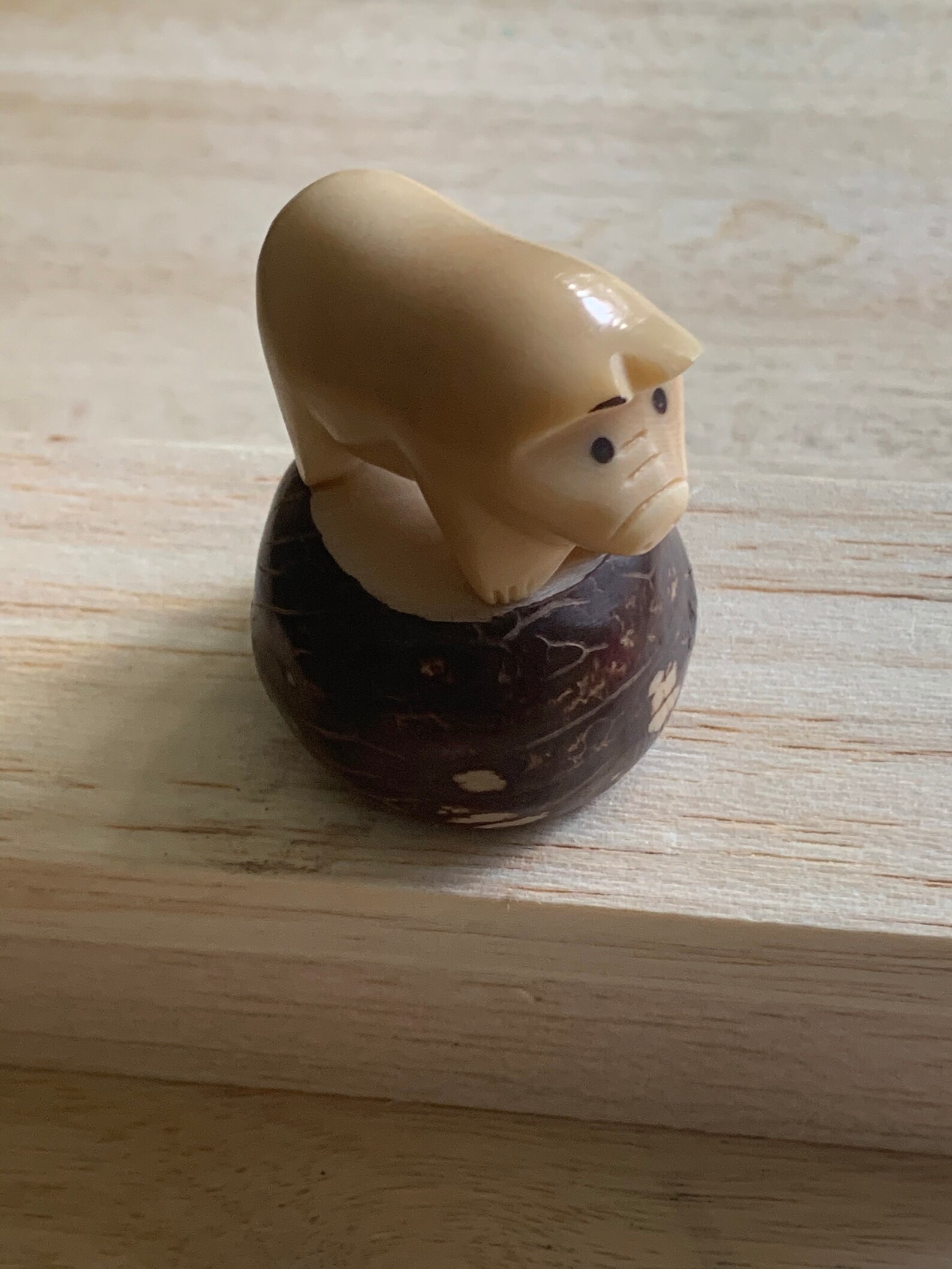 Escultura de nuez de tagua de cerdo marfil vegetal Ecuador | Etsy