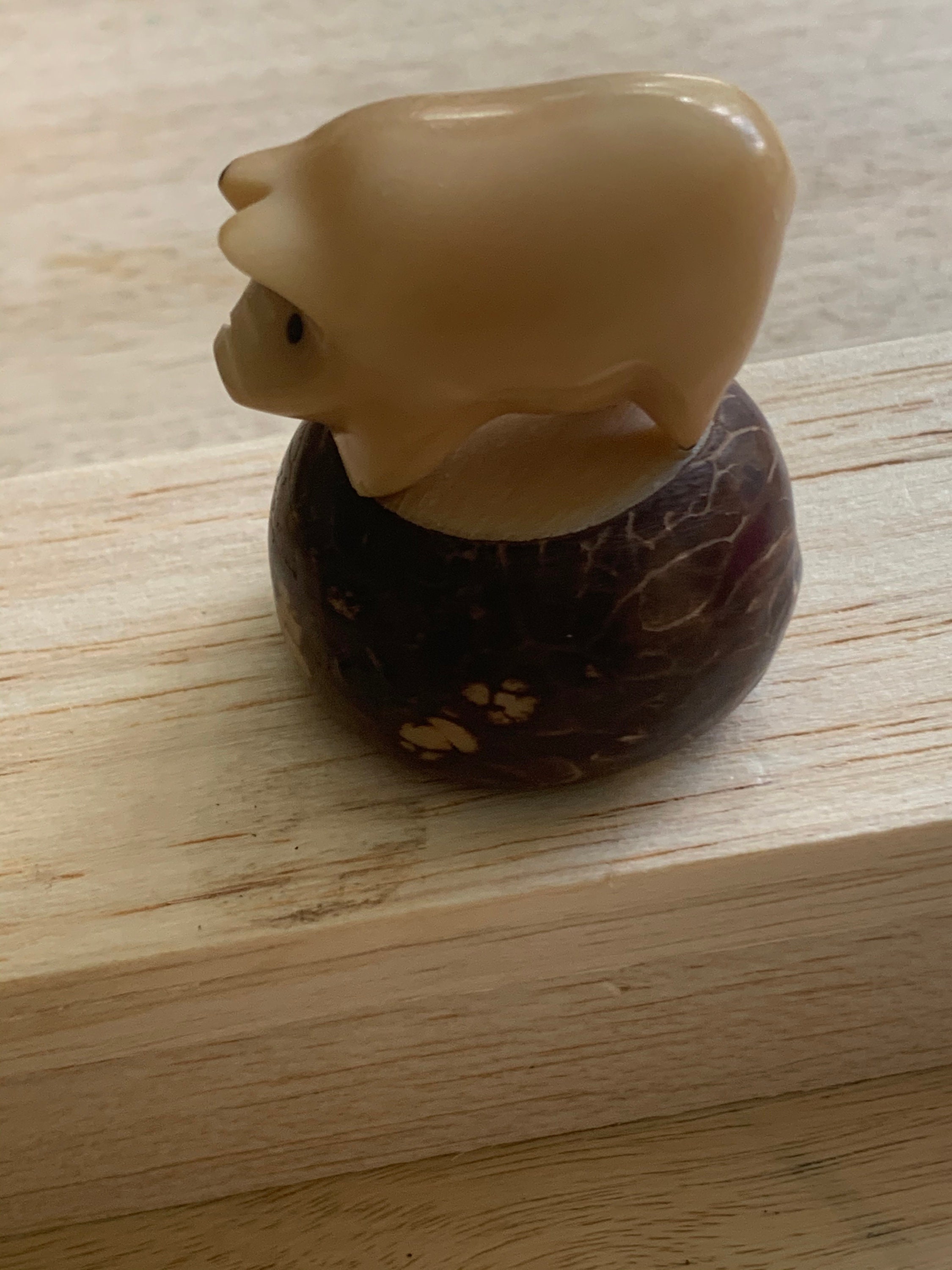 Escultura de nuez de tagua de cerdo marfil vegetal Ecuador | Etsy