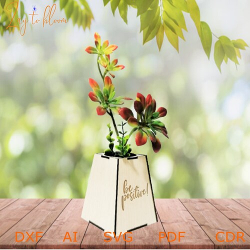 DXF Files for Laser Wooden Pot for Succulents Flowers Vector - Etsy
