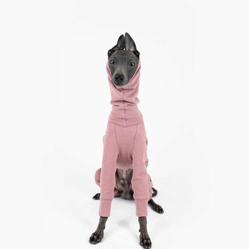 Whippet Clothing - Etsy