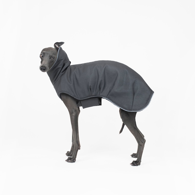 Greyhound Coats - Etsy UK