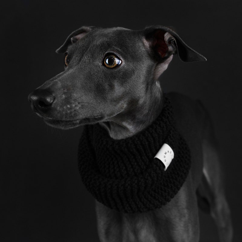 Greyhound Snood - Etsy