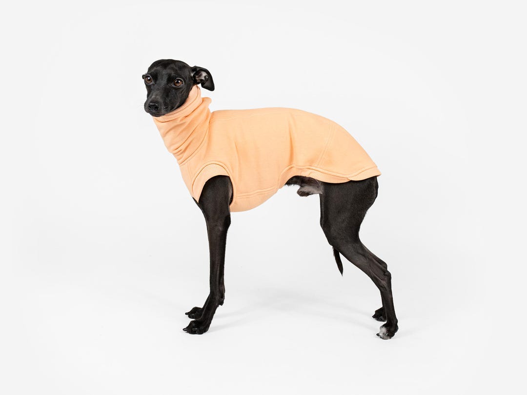 Cozy Waistcoat for Italian Greyhounds & Whippets | Peach - Etsy