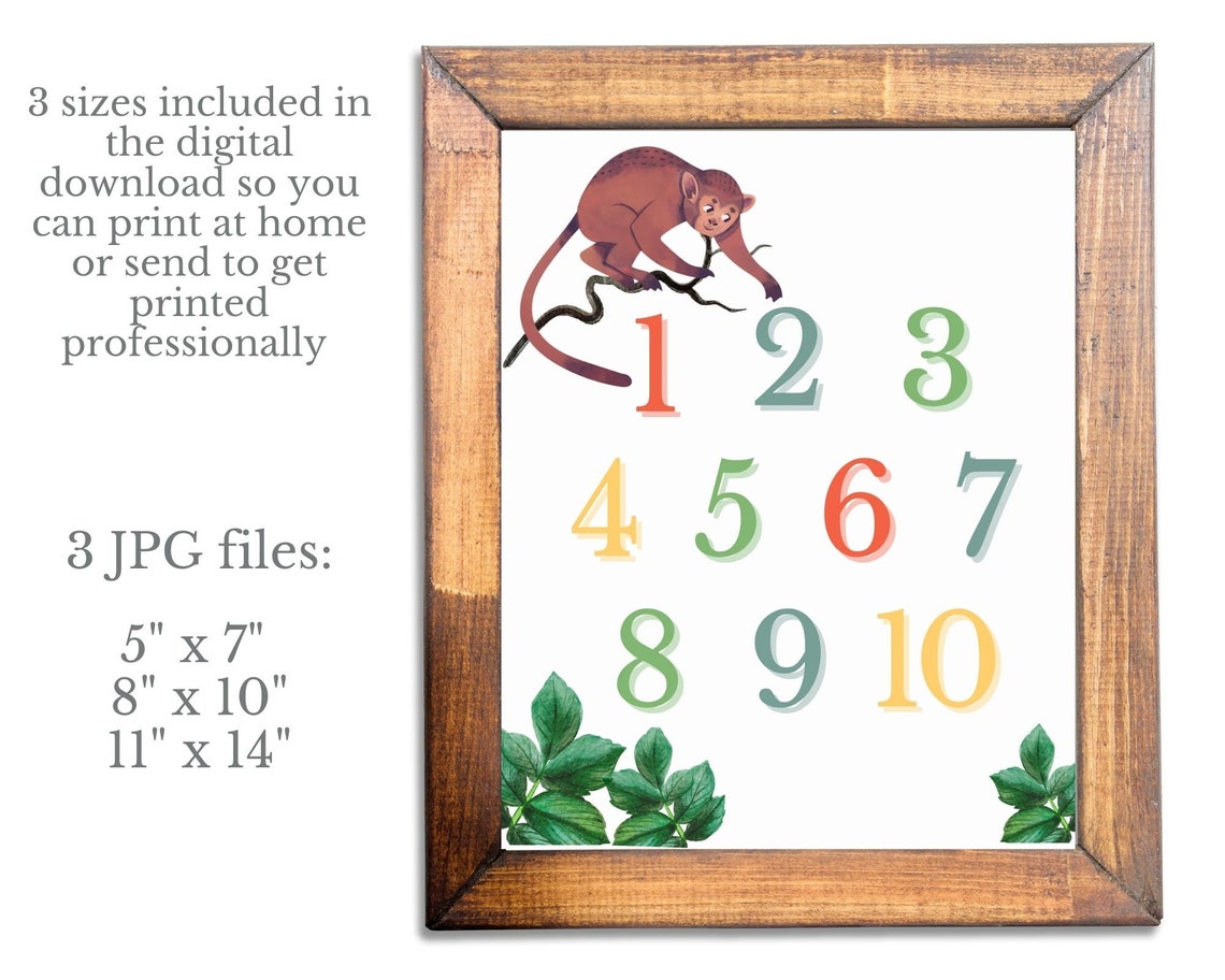 Alphabet, Numbers ,shape / Printable Wall Art / Animal Theme/ Nursery ...