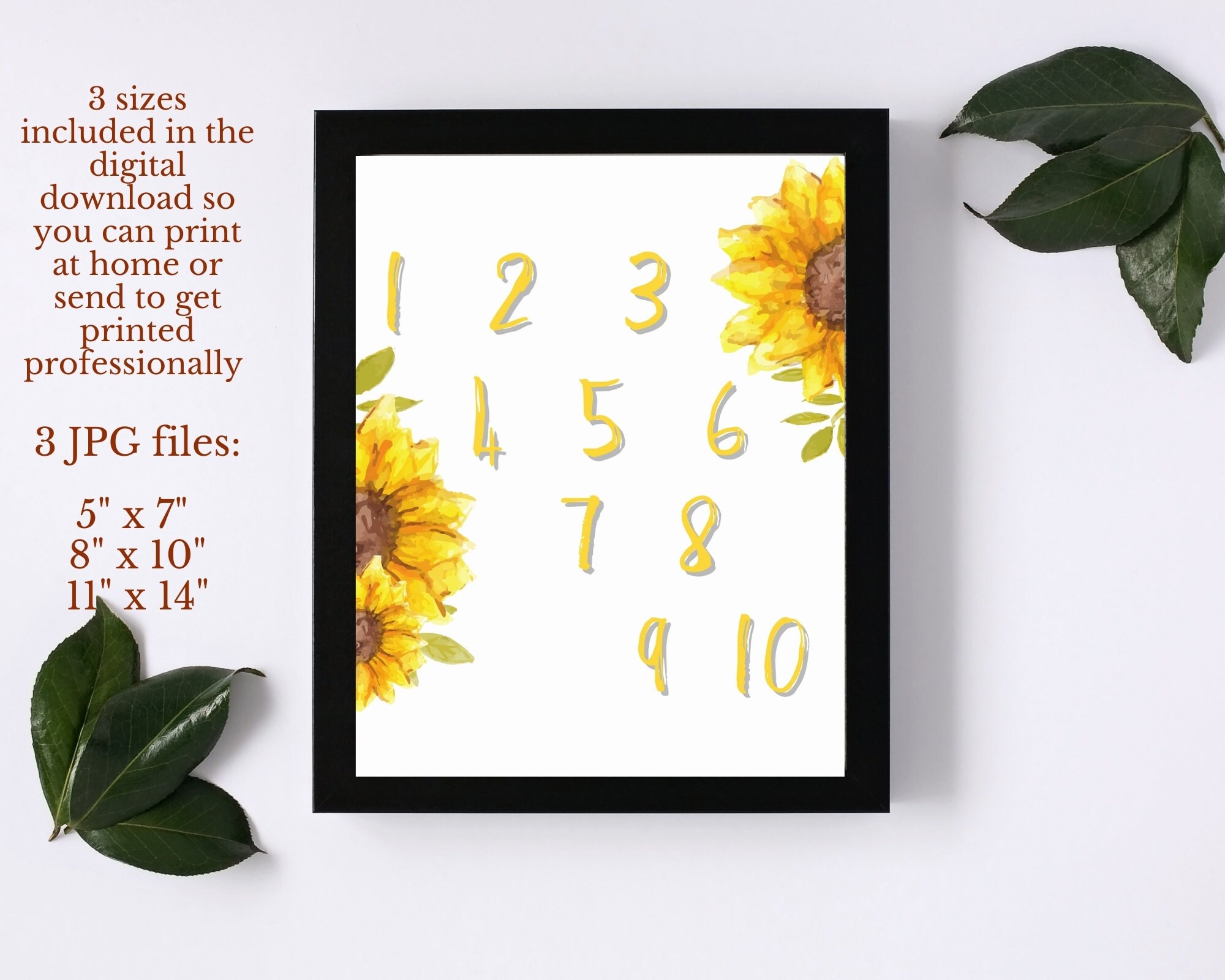 Alphabet Numbers shape / Printable Wall Art / Sunflower - Etsy