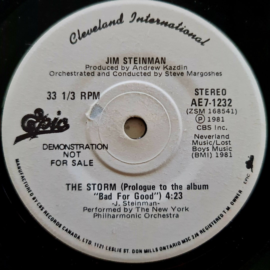 Jim Steinman (e) Storm / Rock and Roll Dreams Come Through - 1981 ...