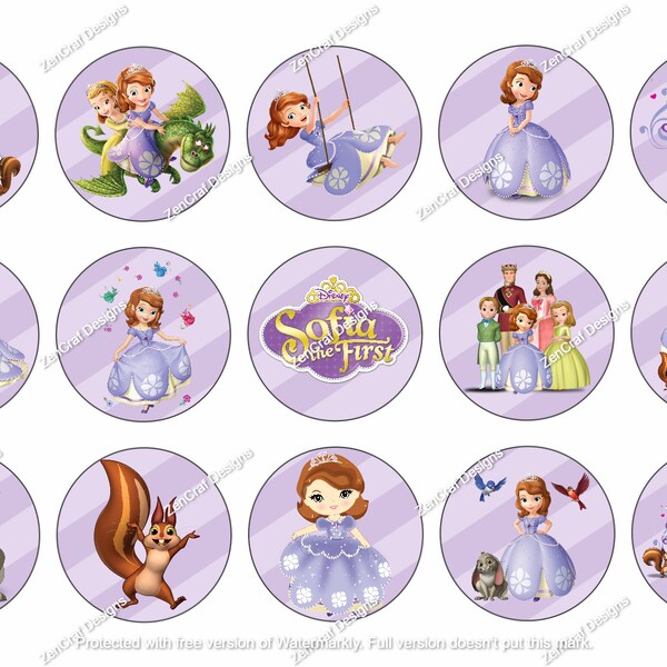 Sofia First Party - Etsy