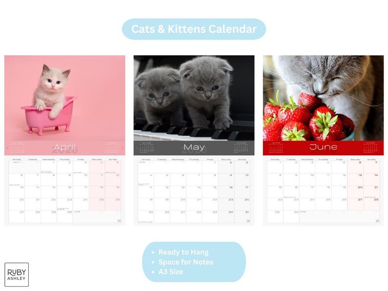 Cats & Kittens Calendar 2026 – Cute Cat and Kitten Wall Calendar UK. A4 ...