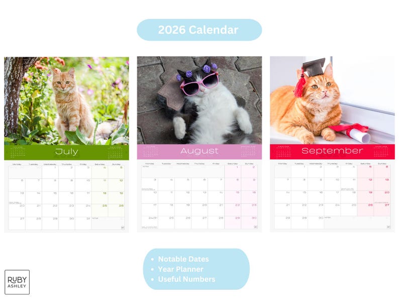 Cats & Kittens Calendar 2026 – Cute Cat and Kitten Wall Calendar UK. A4 ...