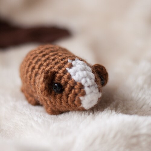 3 CUSTOM GUINEA PIGS Portrait Custom Pet Portrait Guinea Pig - Etsy