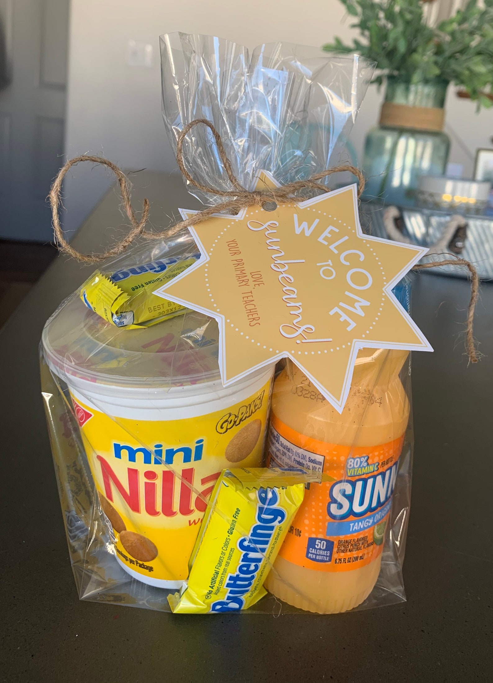 Welcome to Sunbeams! - Etsy