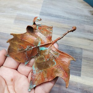 Copper Plated Sycamore Leaf. Copper Electroformed Leaf With Force ...