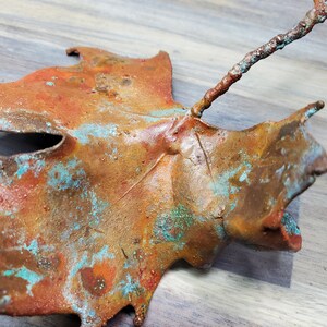 Copper Plated Sycamore Leaf. Copper Electroformed Leaf With Force ...
