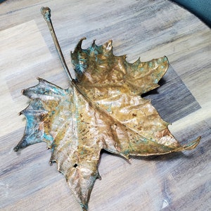 Copper Plated Sycamore Leaf With a Forced Salt Patina. Copper ...