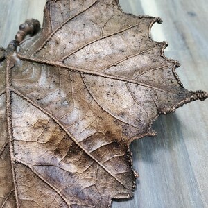 Copper Plated Sycamore Leaf. Copper Electroformed Leaf. Turning Real ...