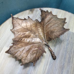 Copper Plated Sycamore Leaf. Copper Electroformed Leaf. Turning Real ...
