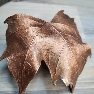 Copper Electroformed Sycamore Leaf. Copper Plated Leaf. Turning Real ...