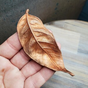 Real Copper Electroformed Leaf. Turning Real Leaves Into Copper. - Etsy