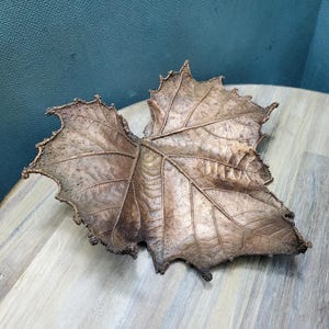 Copper Plated Sycamore Leaf. Copper Electroformed Leaf. Turning Real ...