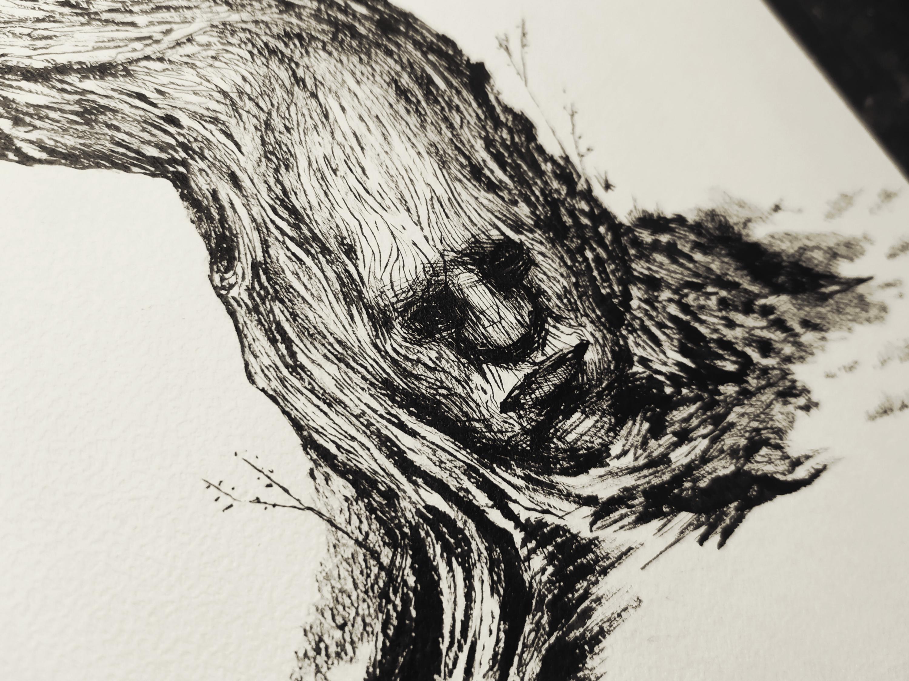 Dark Fantasy Ink Drawing Ancient Tree With Face Emerging From Trunk ...