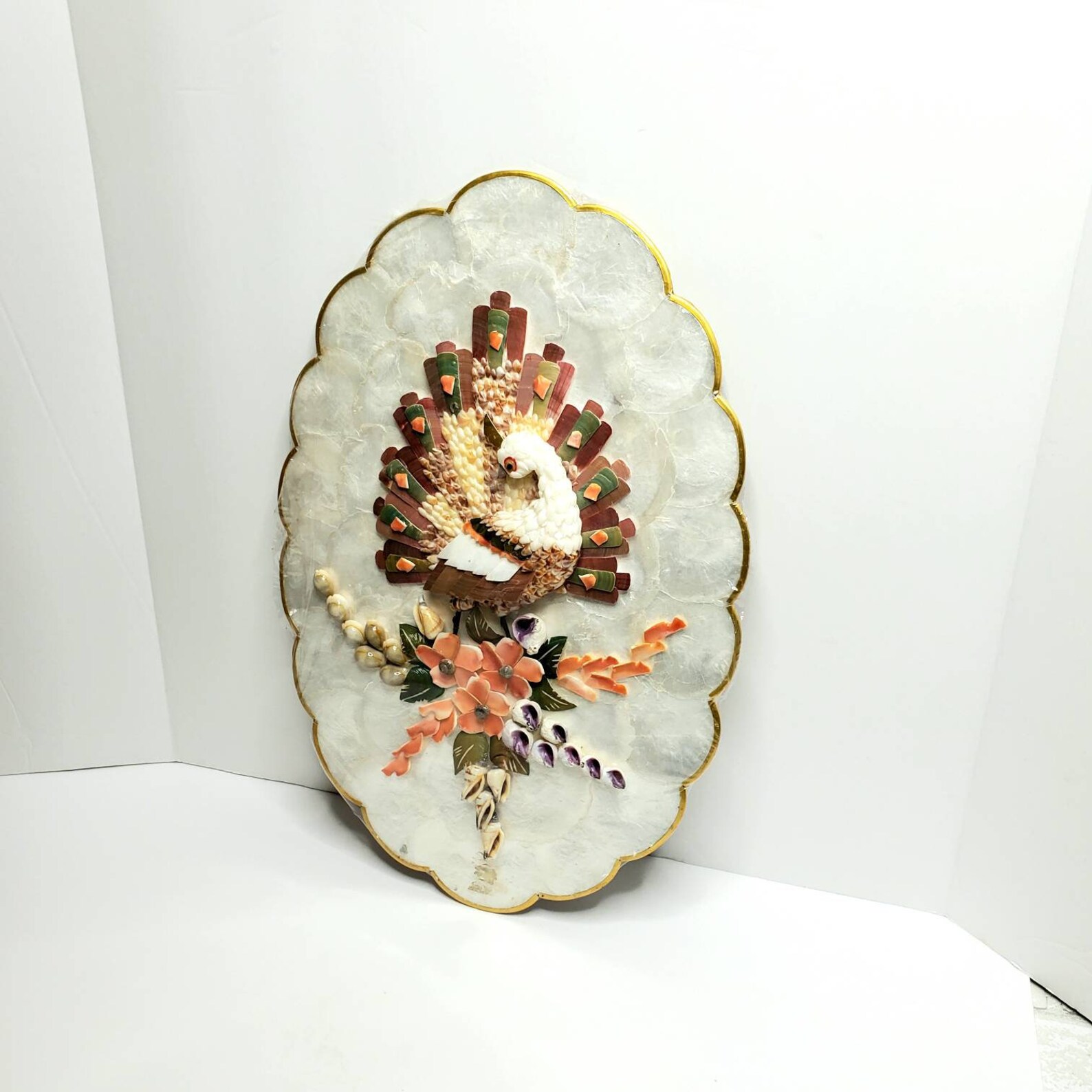 Vintage Capiz & Sea Shell Wall Art Peacock Flowers hand - Etsy France