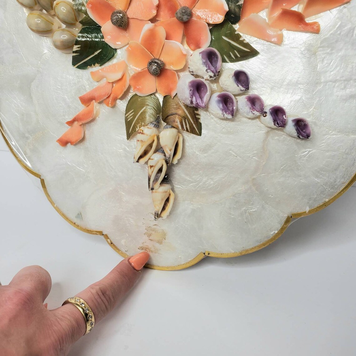 Vintage Capiz & Sea Shell Wall Art Peacock Flowers hand - Etsy France