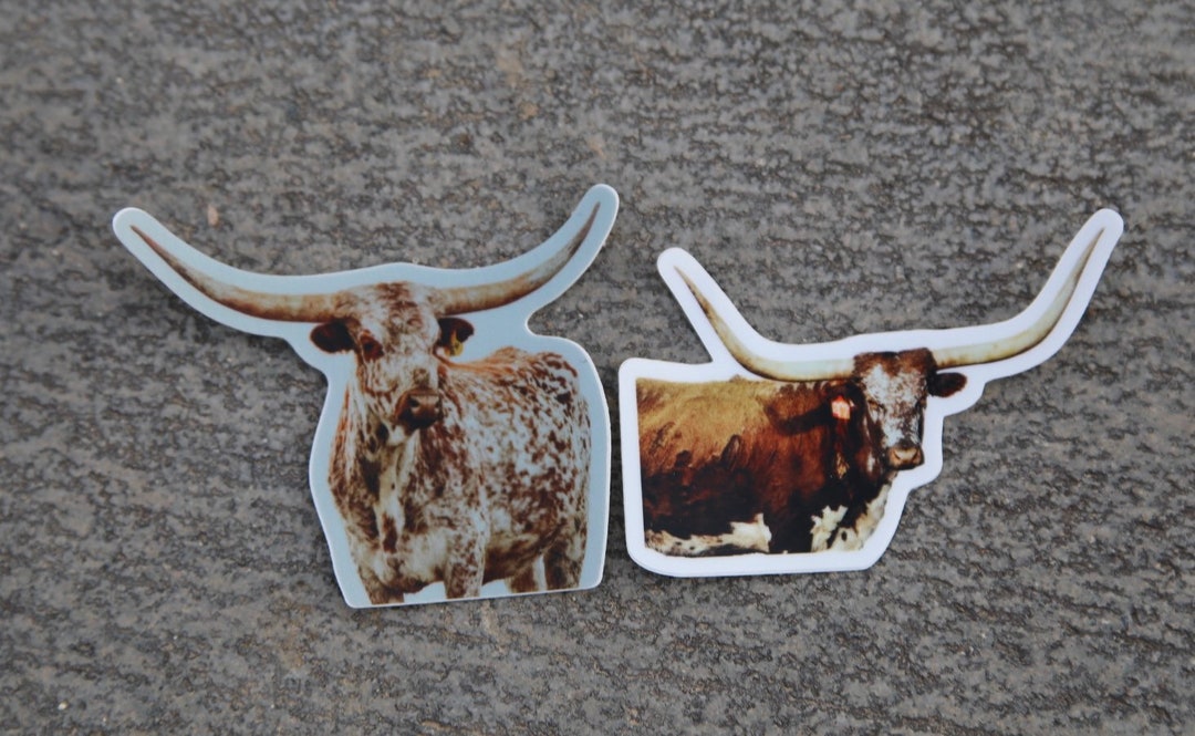Texas Longhorn Cow Stickers - Set of Two (2) - Western - Punchy ...