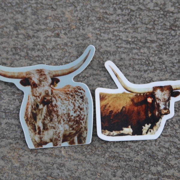 Longhorn Cattle - Etsy