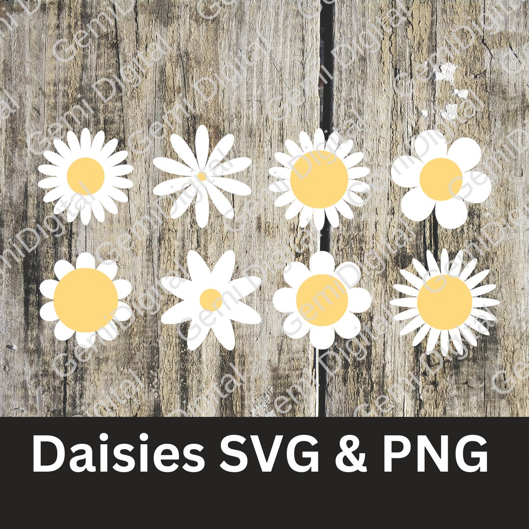 Daisy SVG, Daisy Flower Svg, Daisy Clip Art, Daisy PNG, Daisy SVG ...